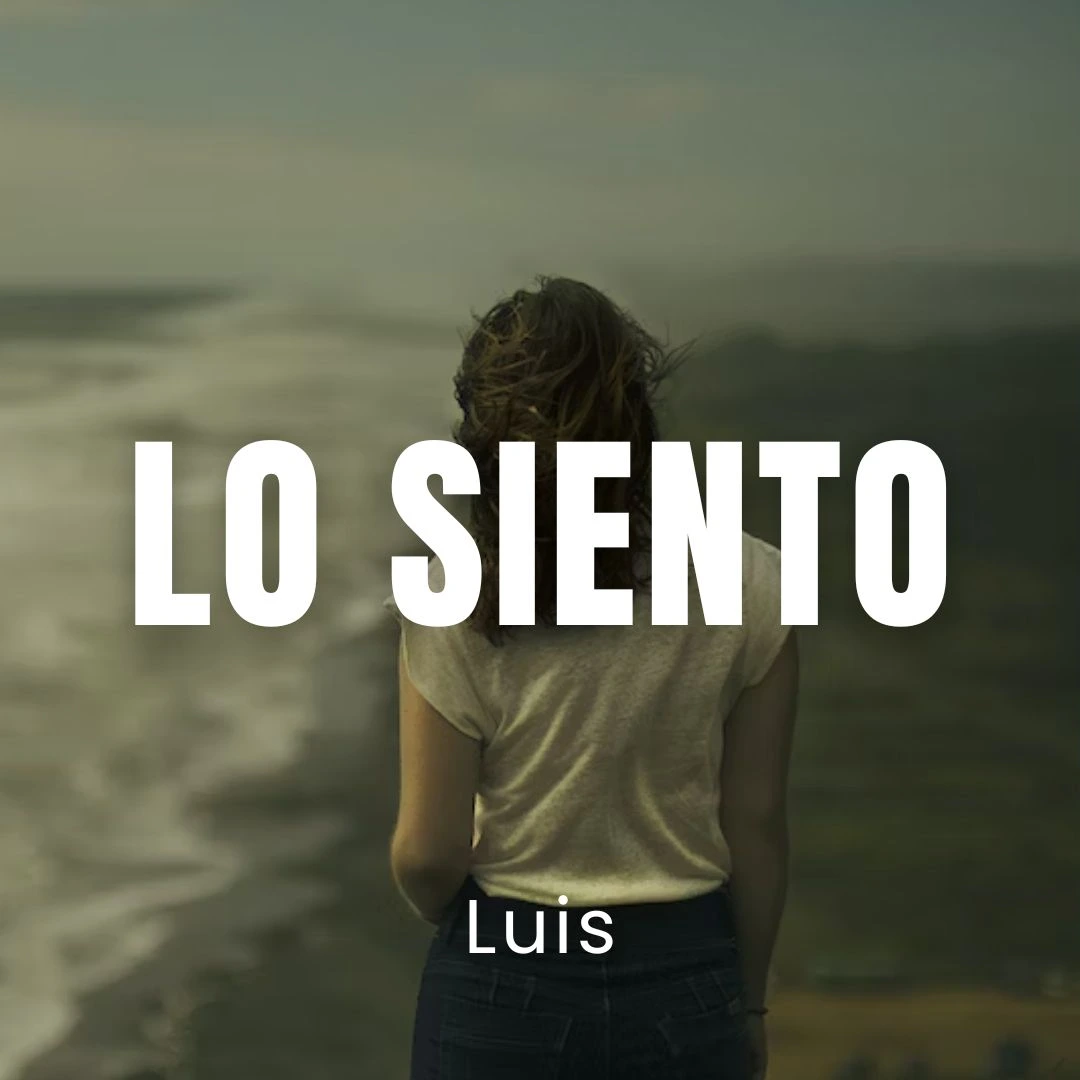 Lo Siento - Vocalfy