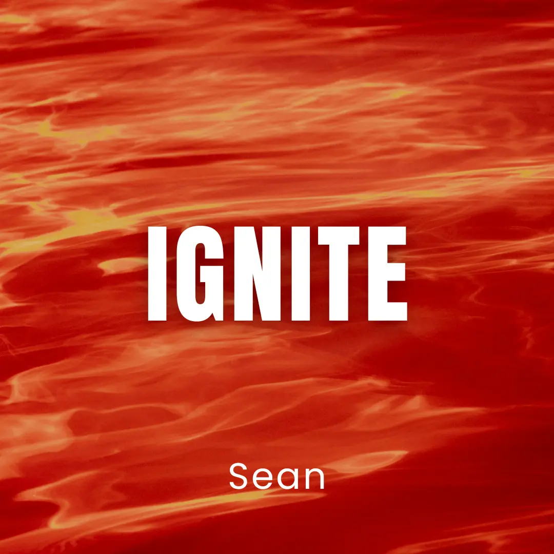Ignite - Vocalfy