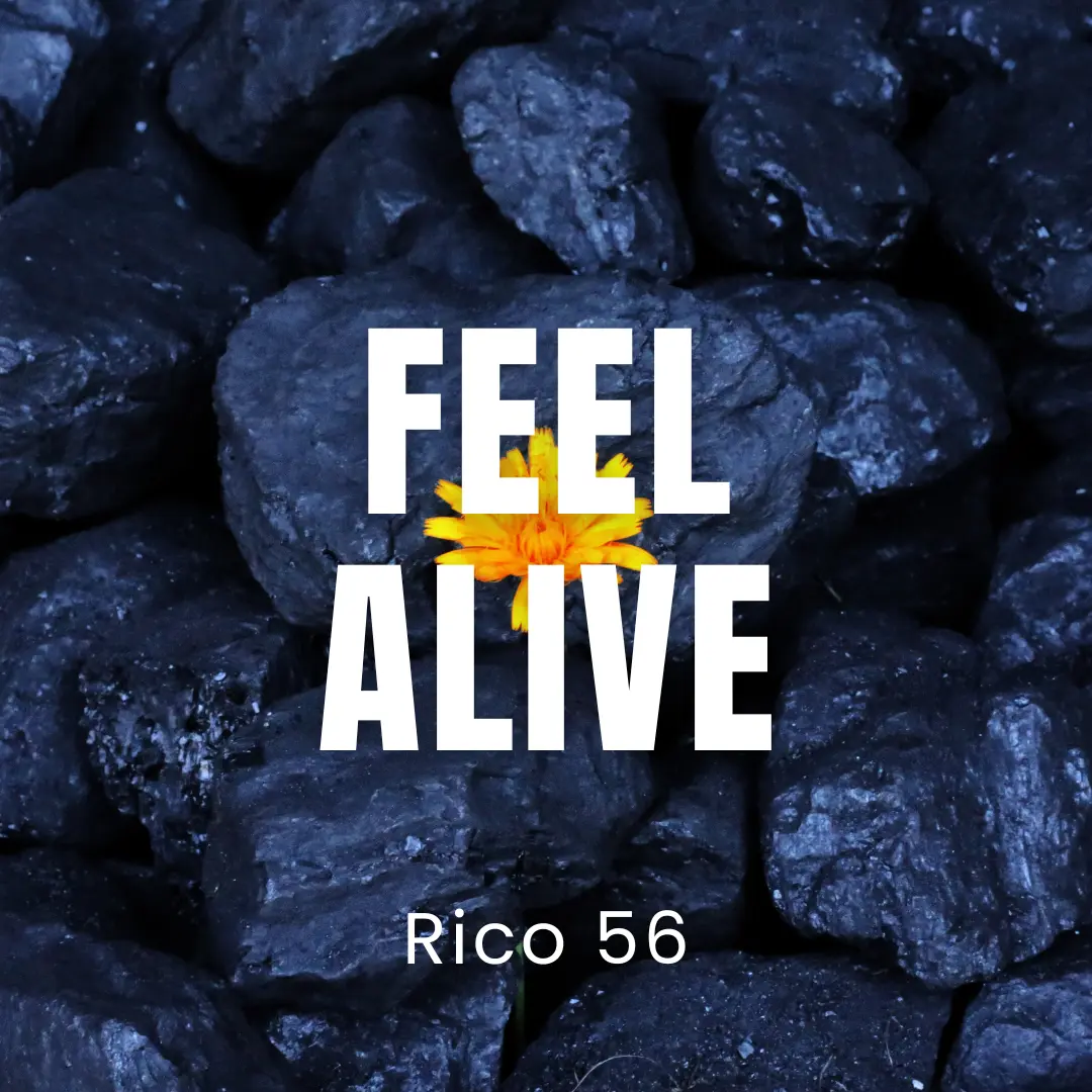 Feel Alive - Vocalfy