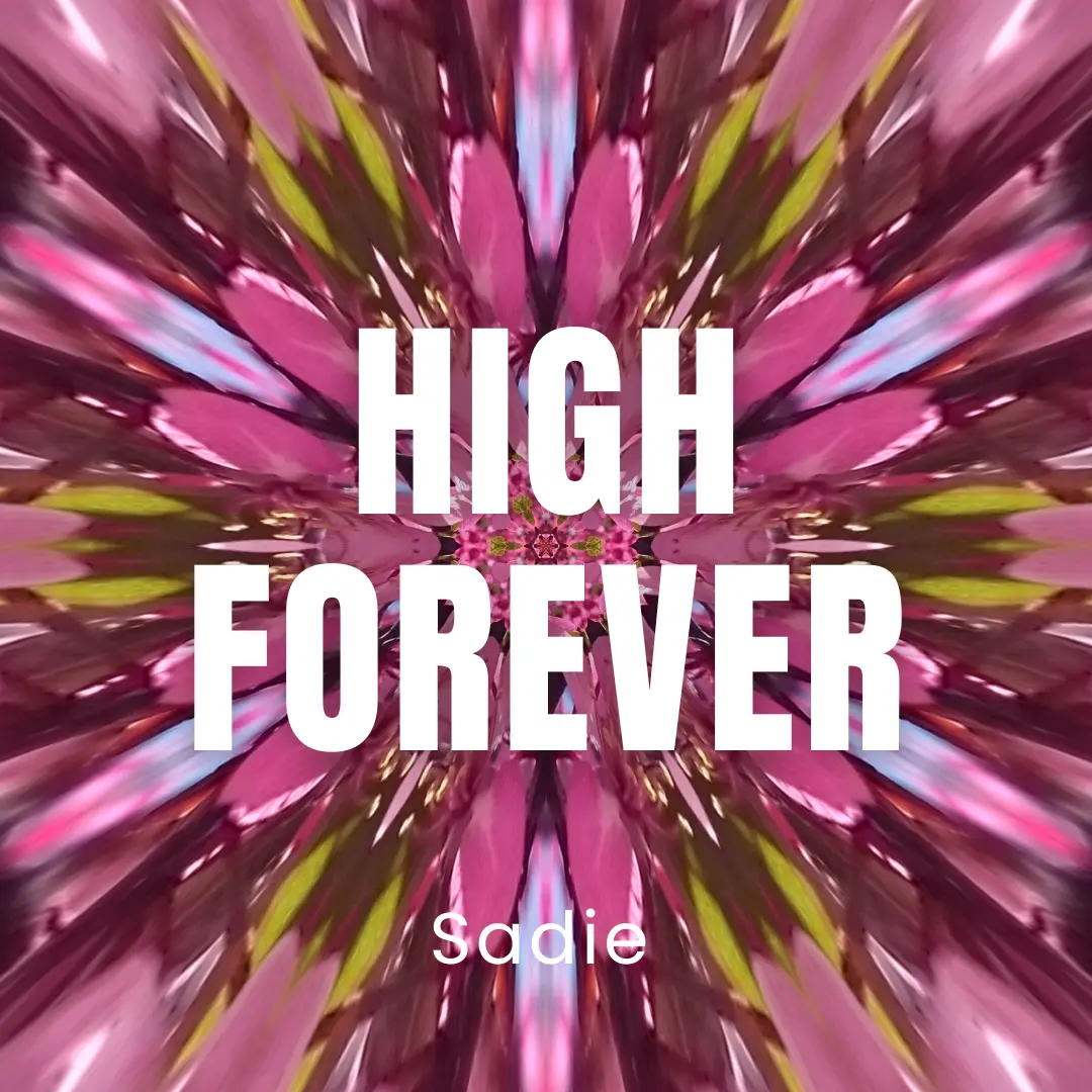 High Forever - Vocalfy