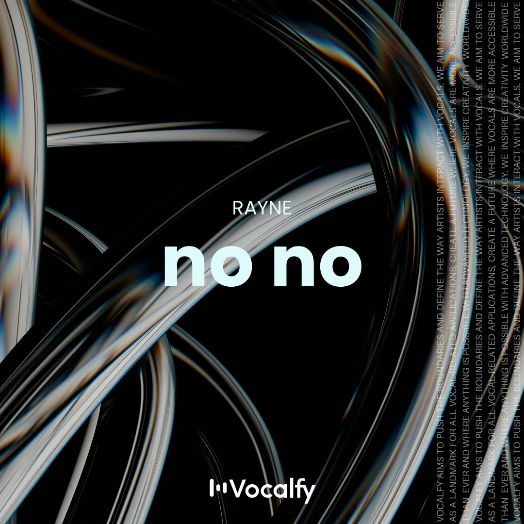 No No - Vocalfy