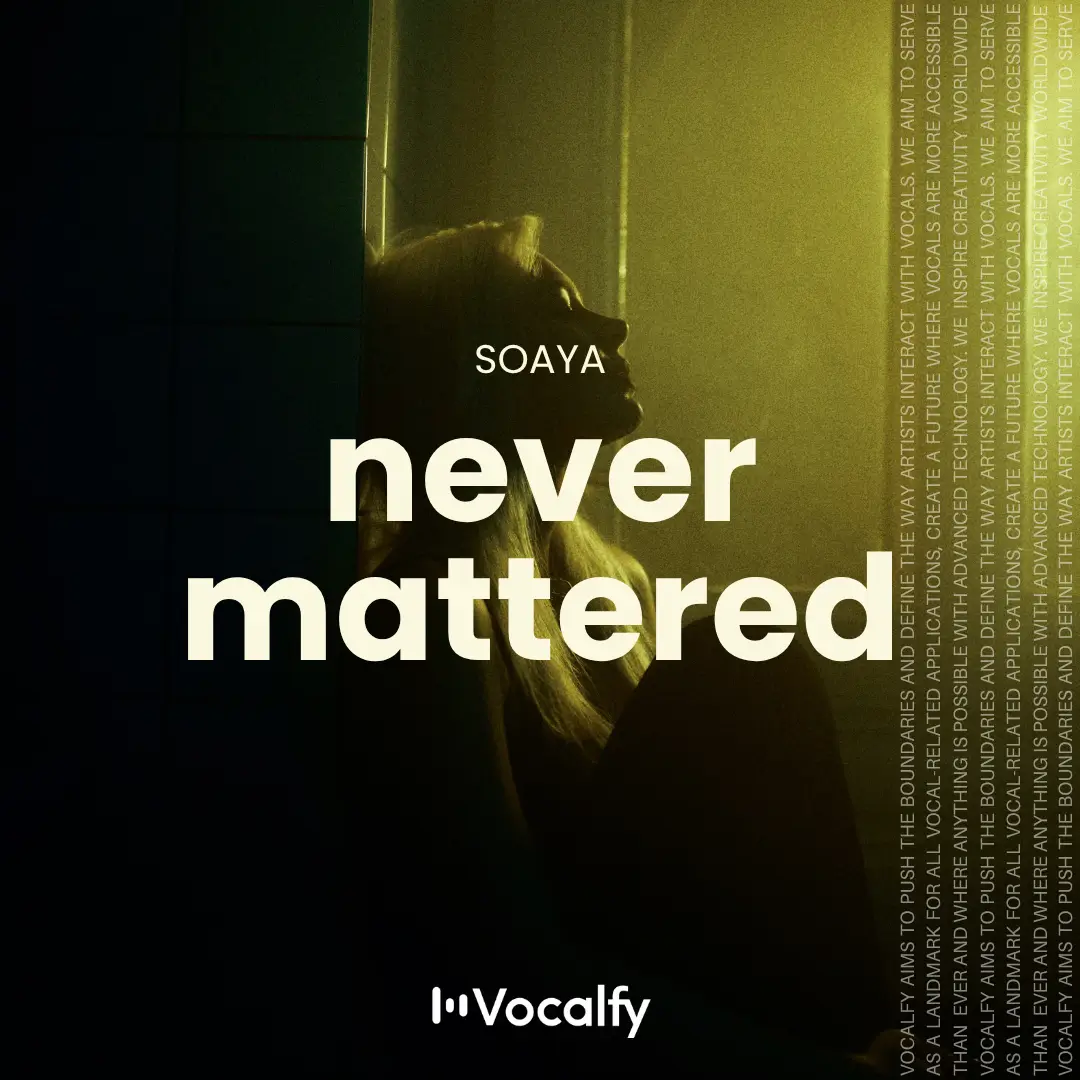 Never Mattered - Vocalfy
